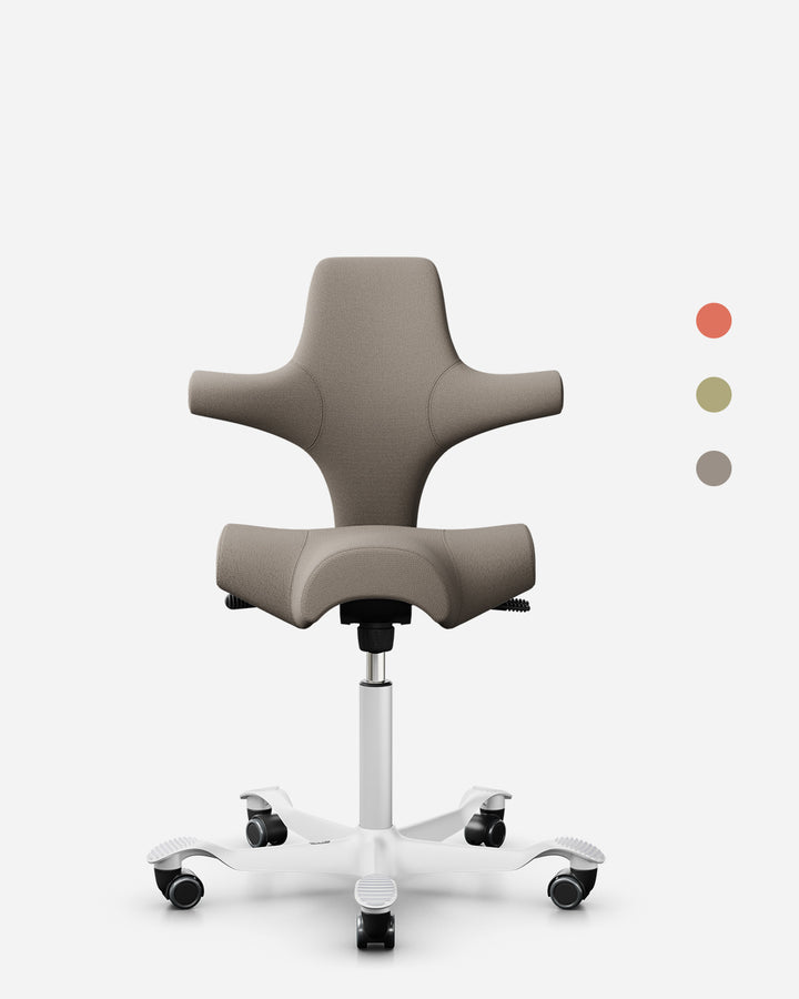 HÅG Capisco 8106 Collection – Flokk